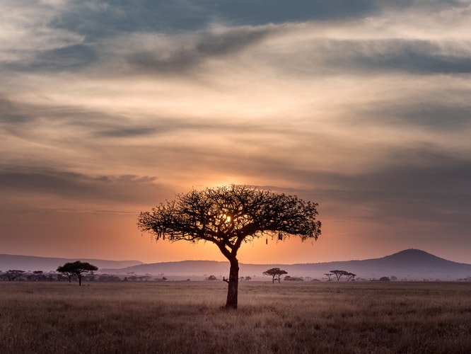 非洲 – Africa | HLB